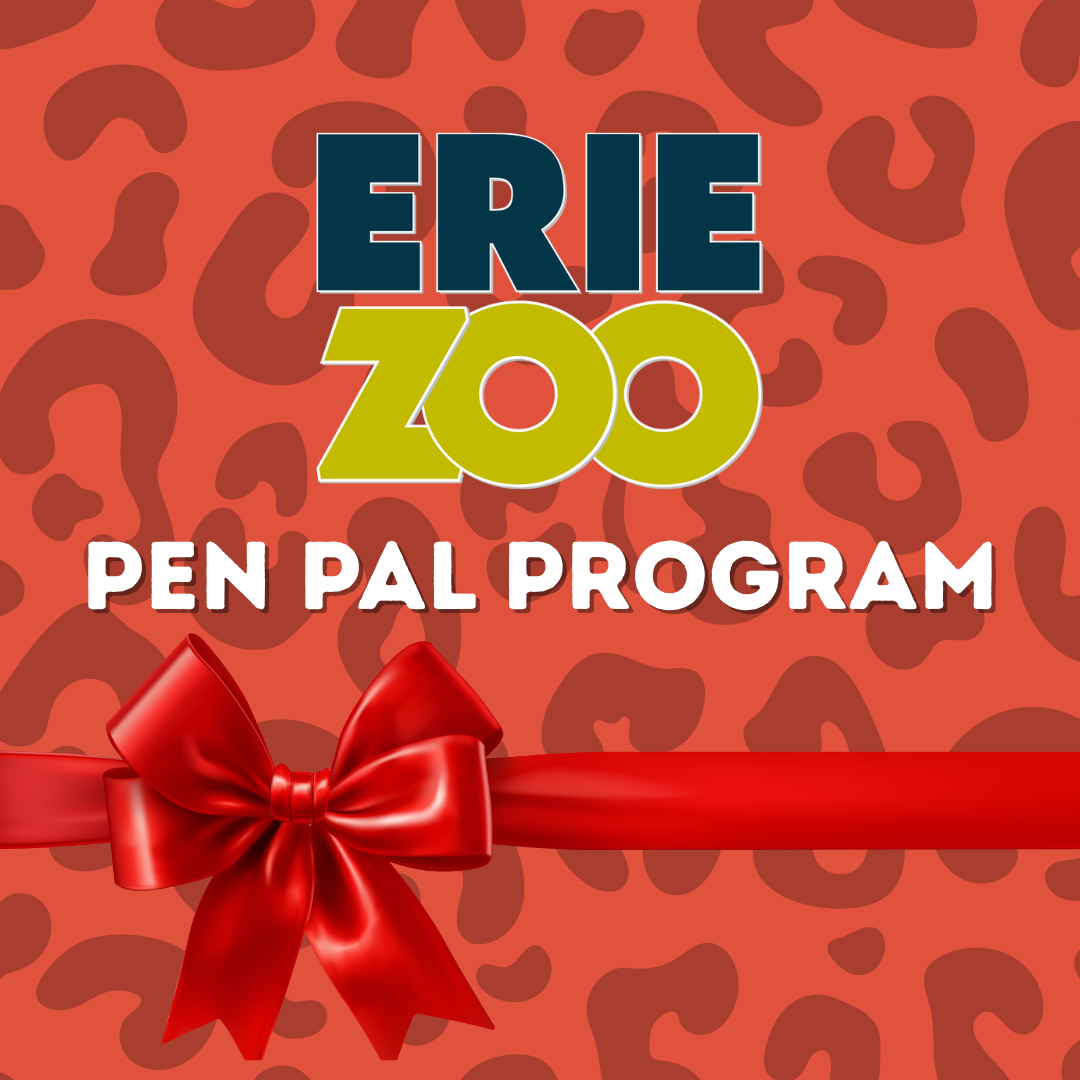 Erie Zoo Pen- Pal Program – Erie Zoo Store