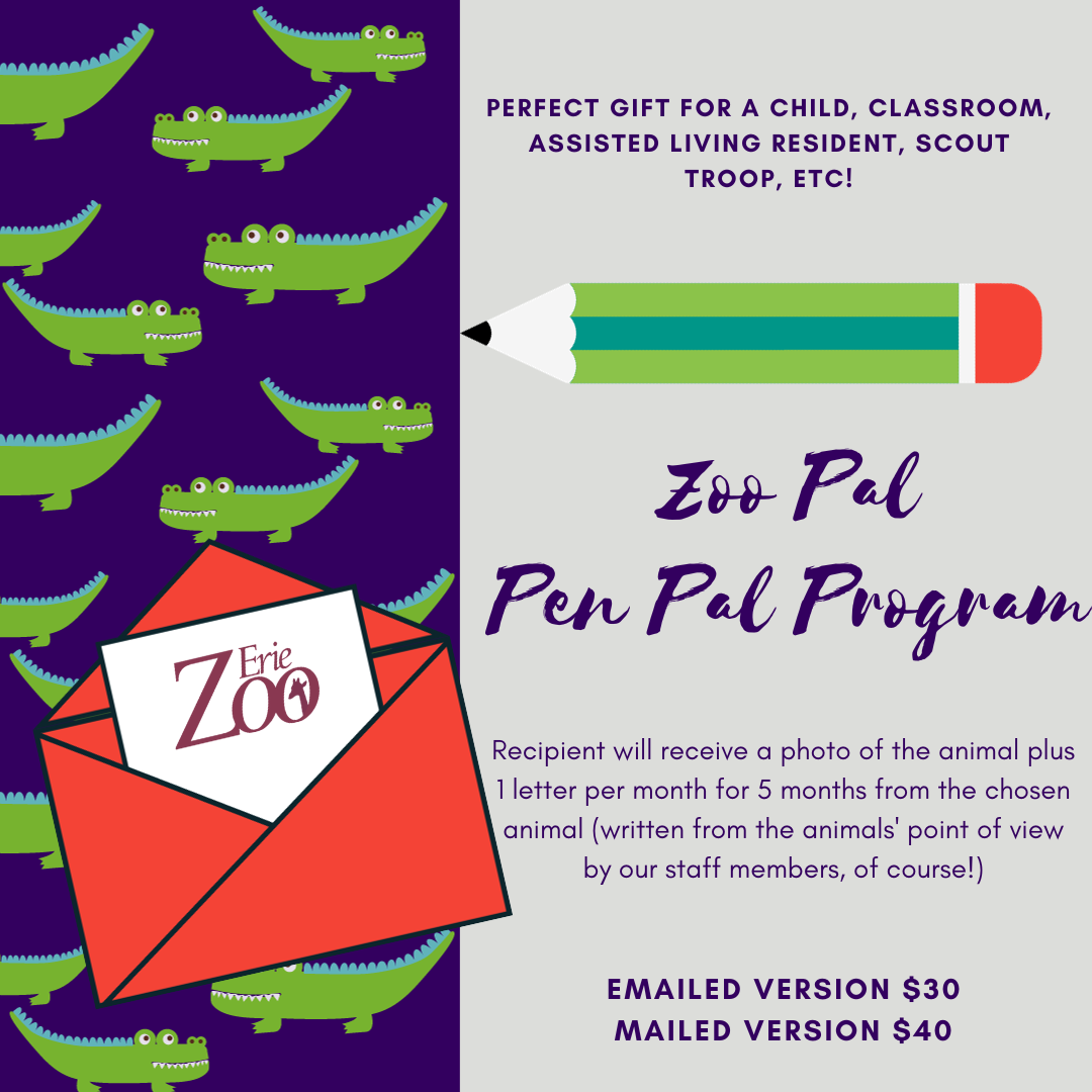ZOO PEN PAL PROGRAM – Erie Zoo Store